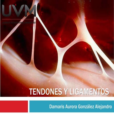 Tendones y ligamentos | PPTX