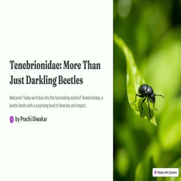 Tenebrionidae-More-Than-Just-Darkling-Beetles.pdf