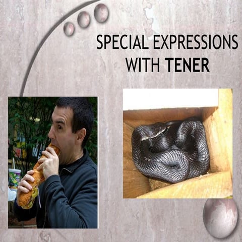 12 Expressions With the Verb TENER | Expresiones con el Verbo TENER | PDF