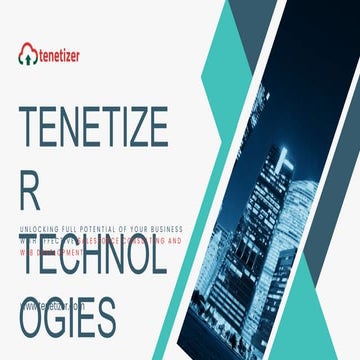 Tenetizer Technologies Salesfoce CRM consulting firm Portfolio.pptx