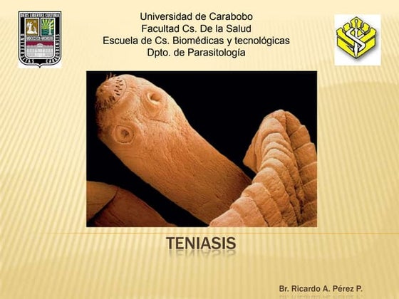 Sistema operativo | PPT