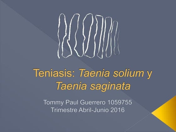Diapositiva De Larvas De Tenia 🧠 ¿Sabías Que Los Parásitos