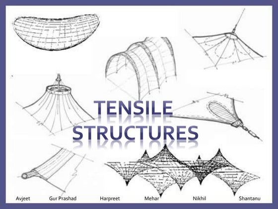 Long span structure | PDF | Geology | Science