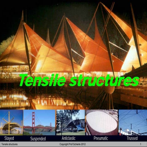 tensile structures-.pdf