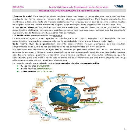 Niveles De Organizacin De Los Seres Vivos
