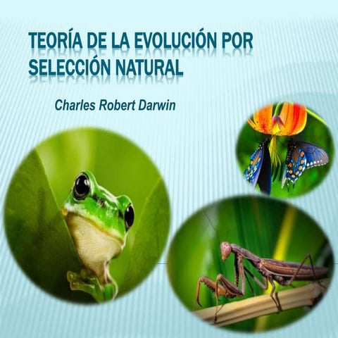 Teoría de la evolución por selección natural | PPTX