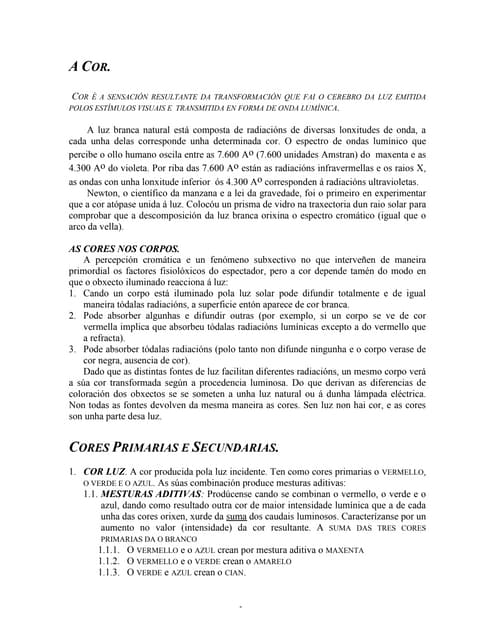 Final Practicum Report OOOPS | PDF