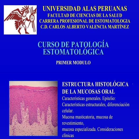 Mucosa oral clase 1 | PPTX