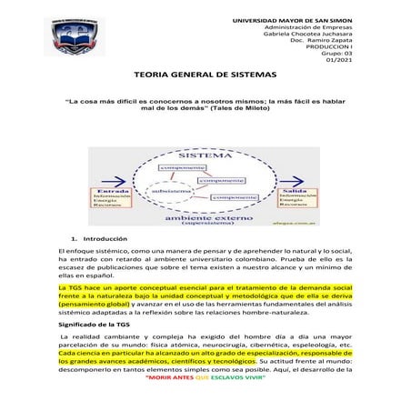 Teoria general de sistemas | DOCX