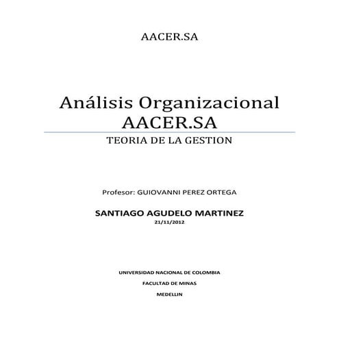 Análisis Organizacional AACER.SA Teoria de la gestión | DOCX