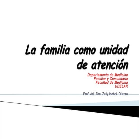 Teorico 2013 familia | PPT