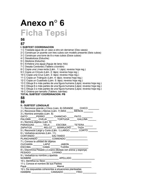 tepsi-protocolo-y-laminas, formato para imprimir | PDF