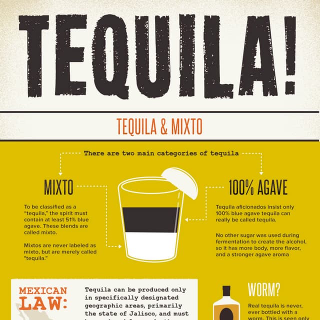 Tequila 101 Infographic | PDF