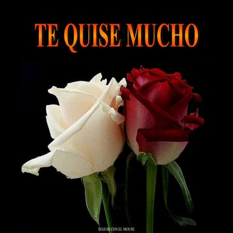 Te quise mucho | PPS