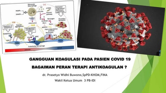 MT draft [Autosaved].pptx