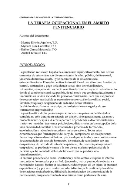 Terapia ocupacional 2.0 | PDF | Physical Therapy | Wellness