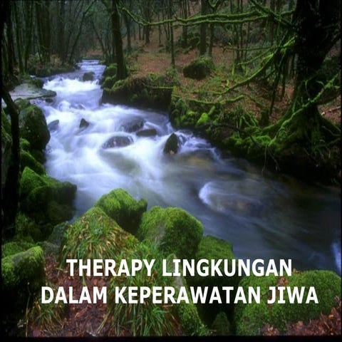 Terapi lingkungan Dalam Keperawatan Jiwa.ppt