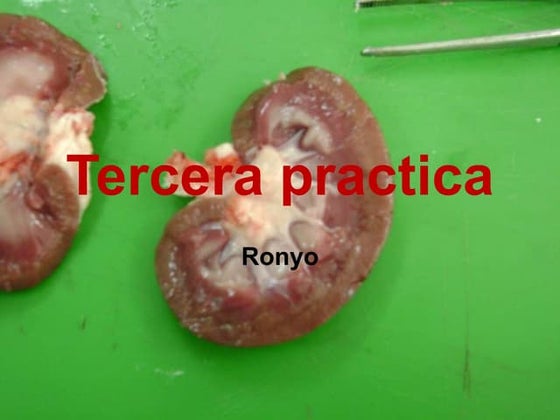 Tercera practica paula julia | PPT