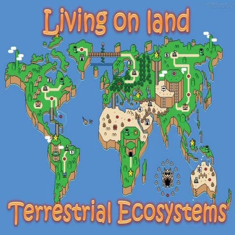 Terestrial ecosystem | PPTX