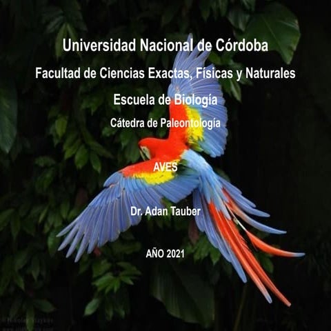 Teórico_Avees fósiles aves cronología.pdf