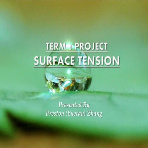 Term 3 Project Surface Tension | PPTX