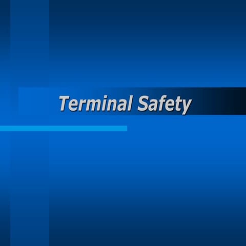 Terminal Safety Ppt