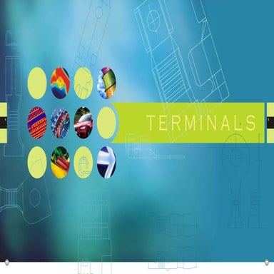 Terminal section | PDF
