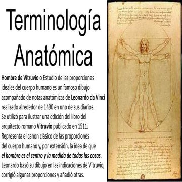 Terminología Anatomica.pptx