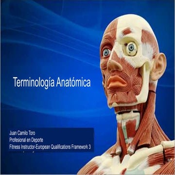 Terminologia Anatomica | PPTX
