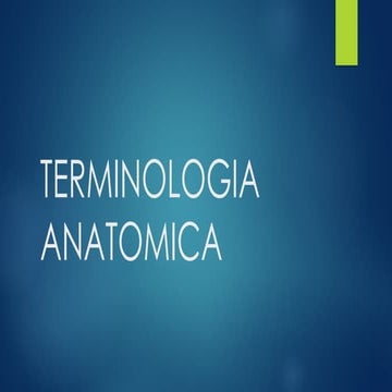 TERMINOLOGIA ANATOMICA DEL CUERPO HUMANO pptx | PPTX