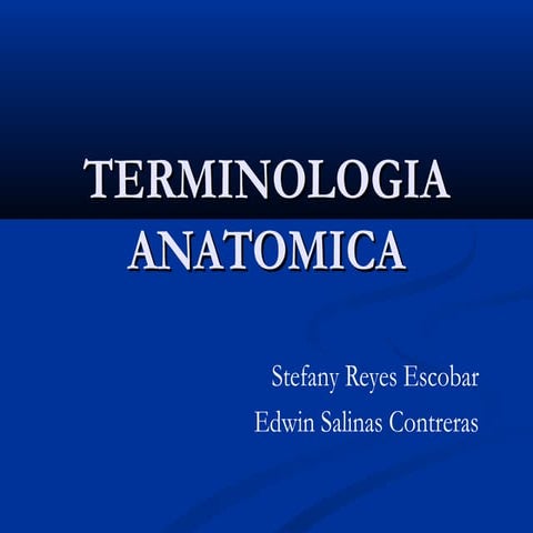 Aula 01 introdução a anatomia - posição, planos, cortes e divisões do ...