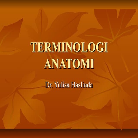 Terminologi anatomi | PPT