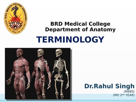 Anatomical Position and Basic Movements | PPT