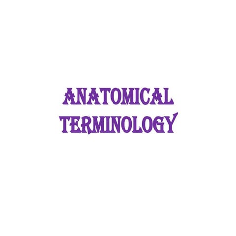 Anatomical terminology | PPT