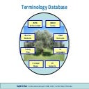 Terminology Database