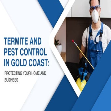 Bug buster gold coast