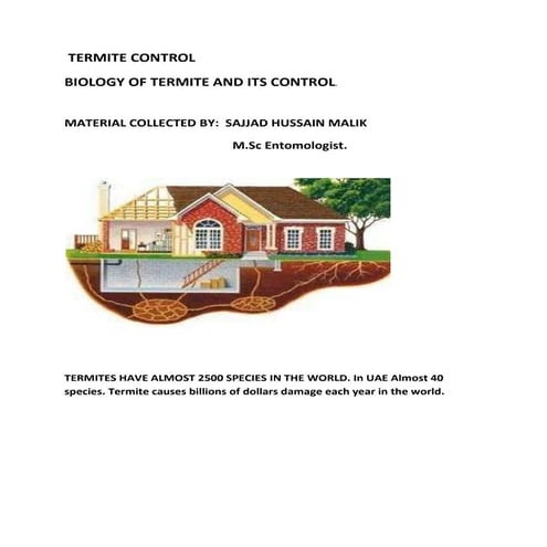 Termite control | PDF