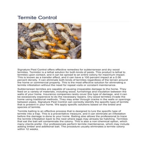 Termite control | PDF