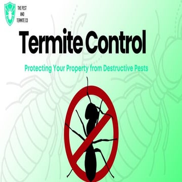 Expert Termite Control Services in Gold Coast | PPT