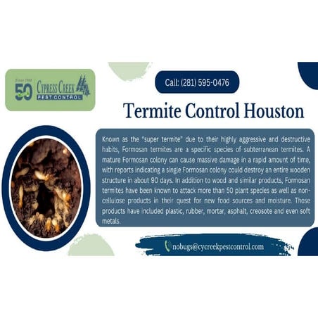 Termite Control Houston.pdf