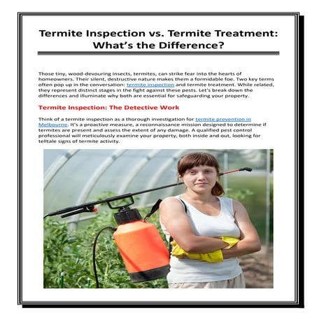 Anti termite treatment | PDF