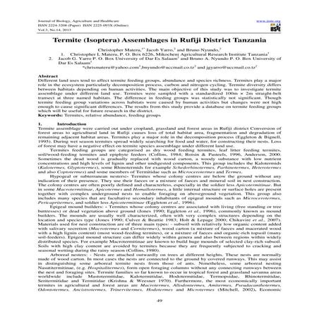 Termite Research Poster | PPT