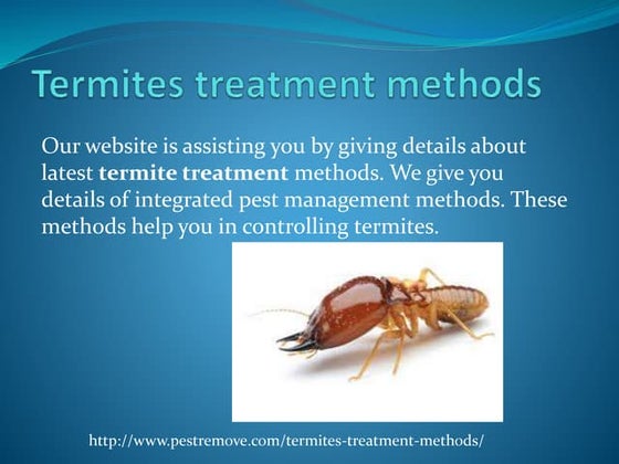 Earwig control methods | PPTX