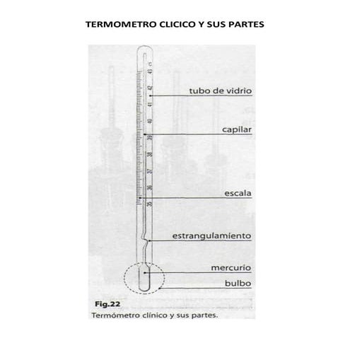 Termómetro clícico y sus partes | PDF