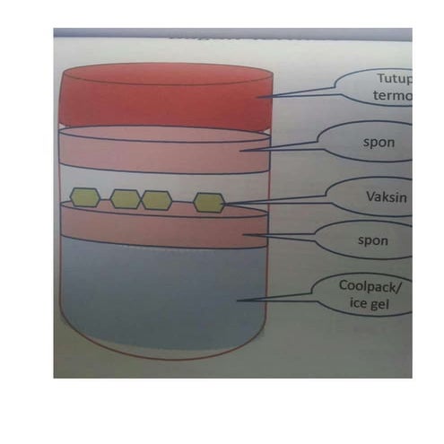 Termos vaksin | DOCX