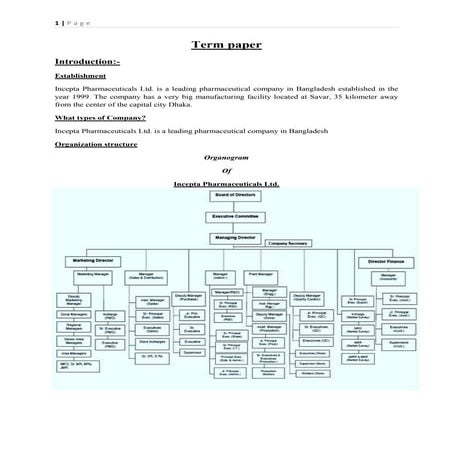 Report on Marketing mix Analysis | DOCX