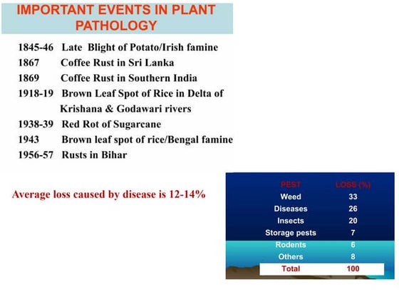 Symptoms of plant disease (symptomology) | PPTX