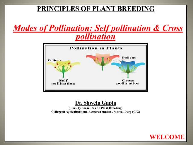 Pollination | PPTX