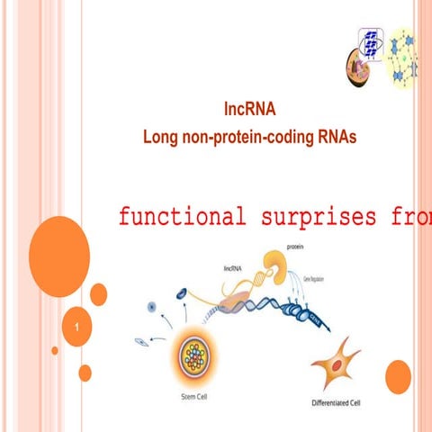 Terra (Telomeric repeat-containing RNA) | PPTX