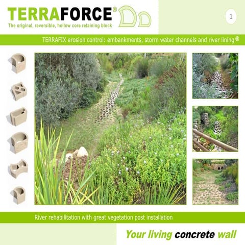 Terraforce Terrafix erosion control block | PPT